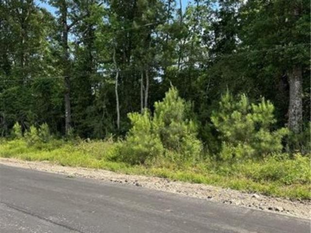 Tract 1 C Lower Rome Rd Lot 1C, Springfield, LA 70462