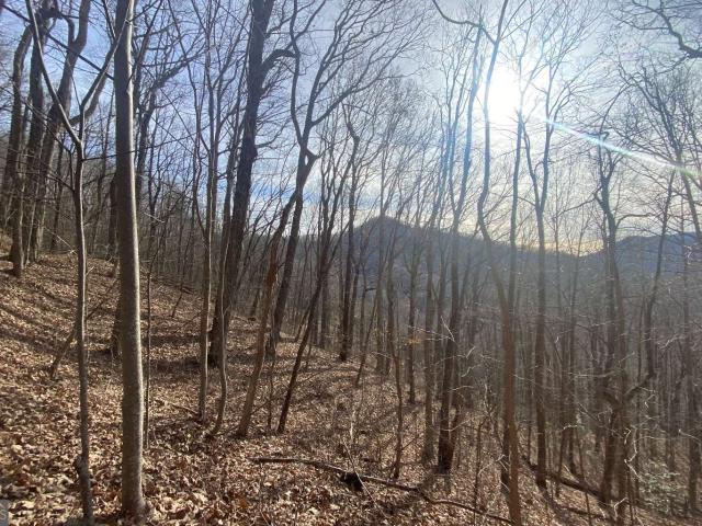 TRACT 1 Caeser Gap Road