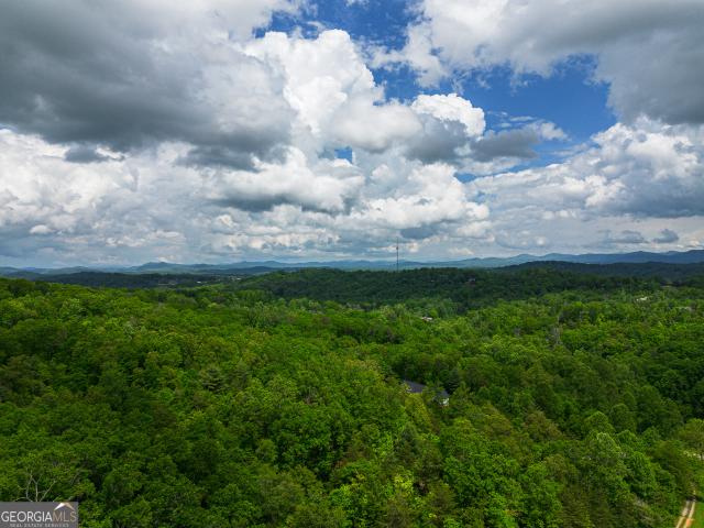 Tract 1 Century Ln, Blue Ridge, GA 30513 | MLS #10668