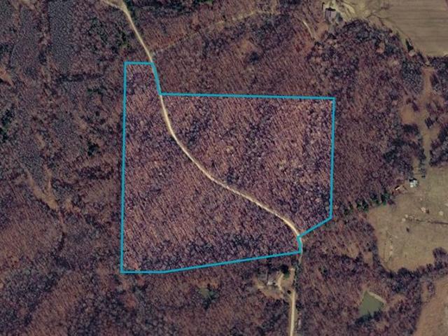 Tract 1 County 408 Rd, Lafe, AR 72436