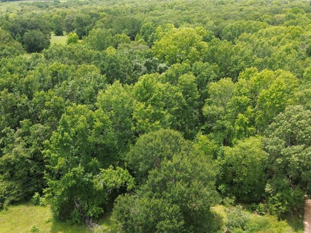 Tract 1 County Road 2065