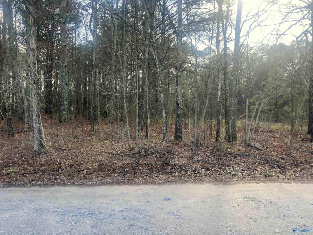 Tract 1 County Road 450