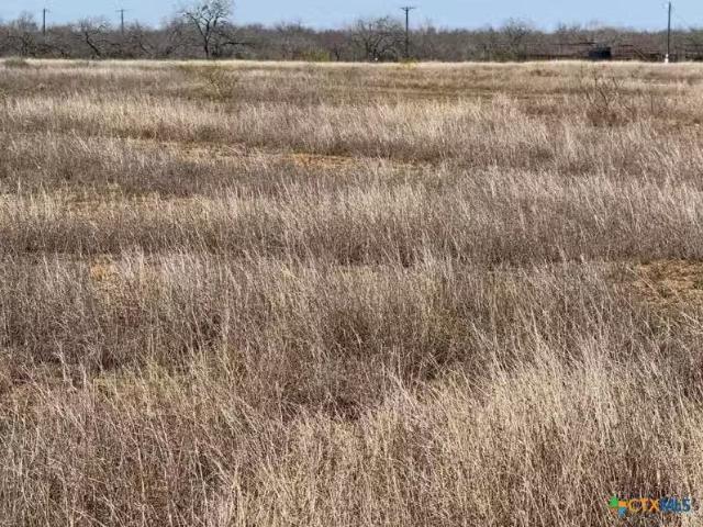 Tract 1 County Road 422, Pleasanton, TX 78064 MLS 574759