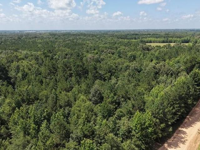 Tract 1 County Road 4320, DeKalb, TX 75559