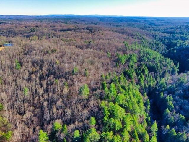 Tract 1 Ervin Brown Rd, Sunbright, TN 37872