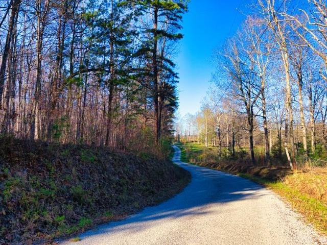 Tract 1 Ervin Brown Road