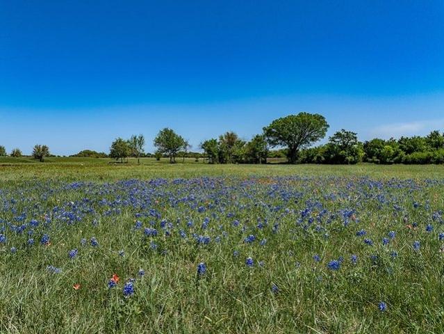 Tract 1 Farm to Market Rd # 1291, Round Top, TX 78954