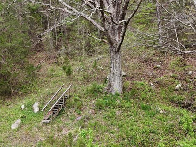 Tract 1 Grassy Creek Rd, Rogersville, TN 37857