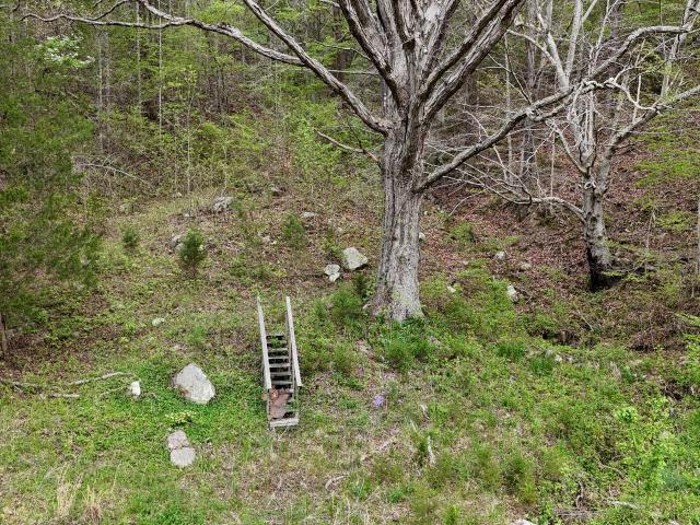 Tract 1 Grassy Creek Road