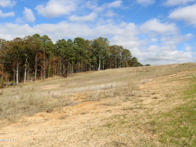 Tract 1 Hugh White State Park Road