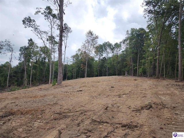 Tract 1 Leitchfield Rd, Cecilia, KY 42724