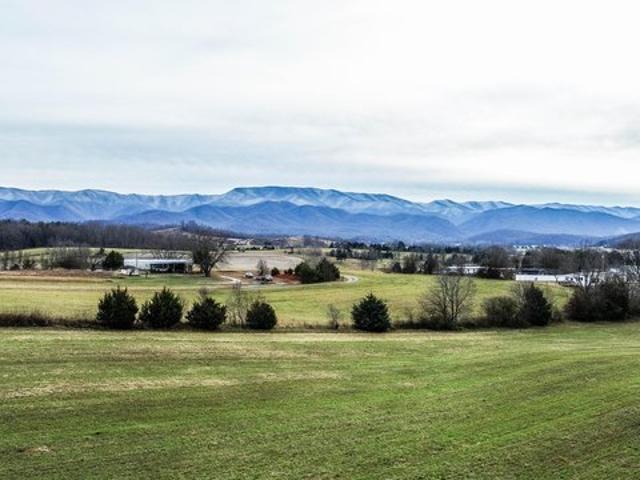 Tract 1 Painter Rd, Chuckey, TN 37641
