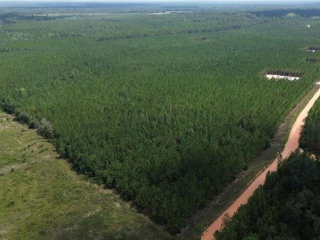 Tract 1 Penny Morris Rd, Baxley, GA 31513