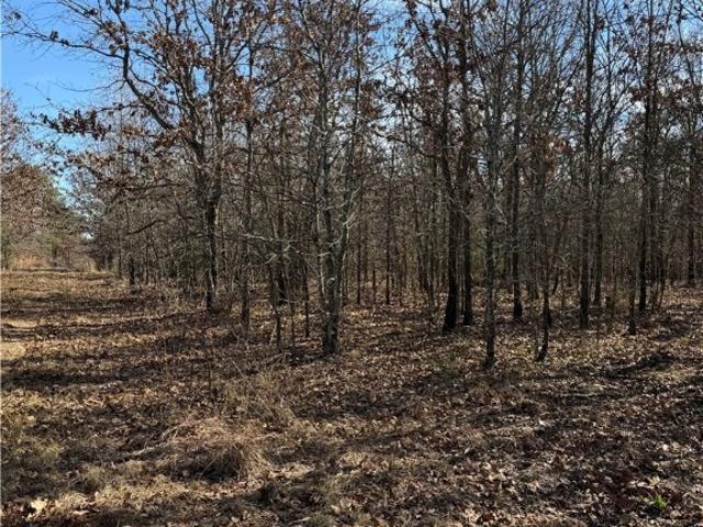 Tract 1 Rural Atoka
