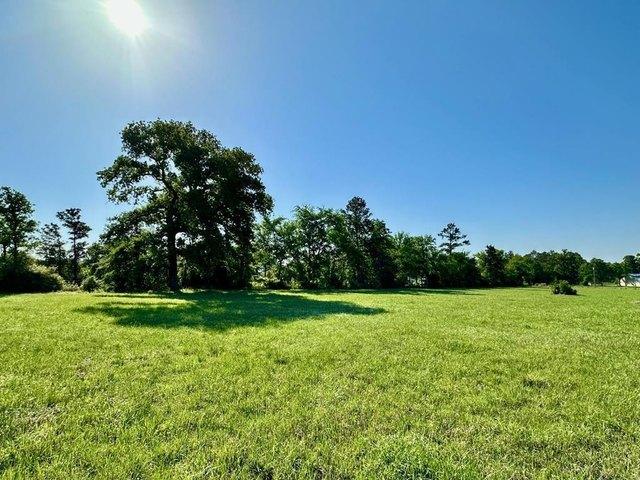Tract 1 Sullivan Dr, Apple Springs, TX 75926