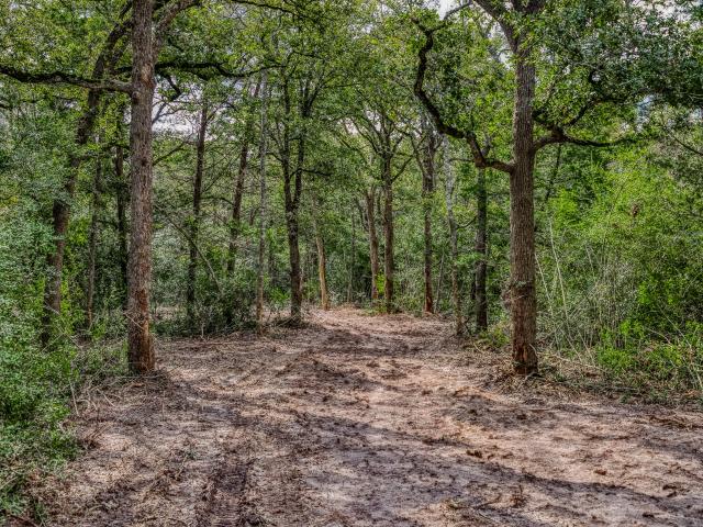 Tract 1 Sun Oil Road