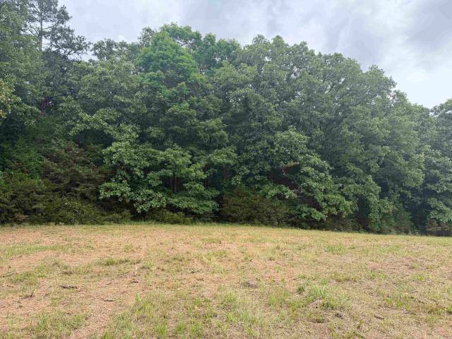 Tract 1 Sandy Ford Rd