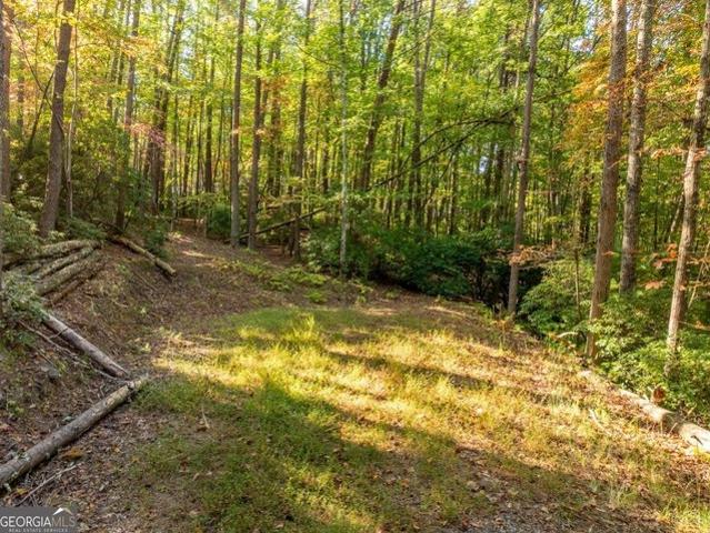 Tract 1 Turniptown Rd, Ellijay, GA 30536