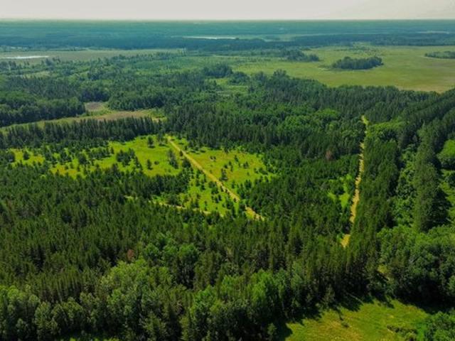 Tract 1 Tbd Hubbard Line Rd, Menahga, MN 56464
