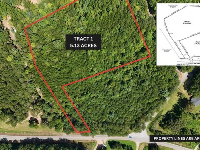 Tract 1 Tesnatee Gap Valley Rd, Cleveland, GA 30528