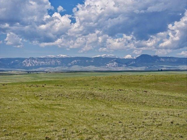 Tract 1 Trabing Rd, Buffalo, WY 82834