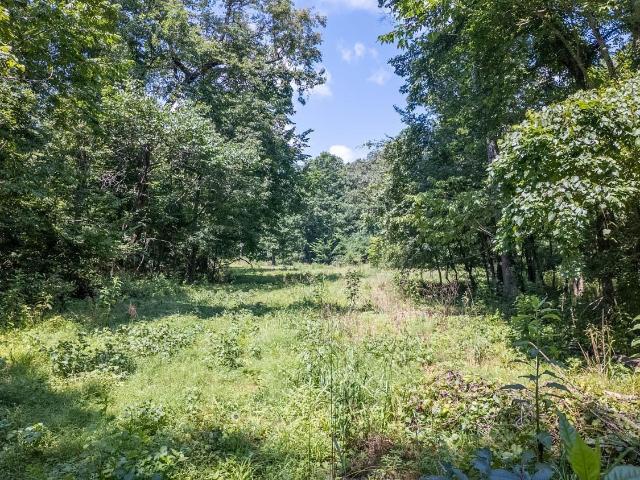 Tract 1 Upper Janes Creek Road