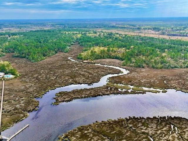 Tract 1 Us 17 Hwy, Waverly, GA 31565