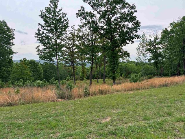 TRACT 1 Watersedge Drive