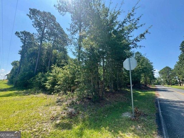 Tract 1 Whiddon Milll Rd, Poulan, GA 31781
