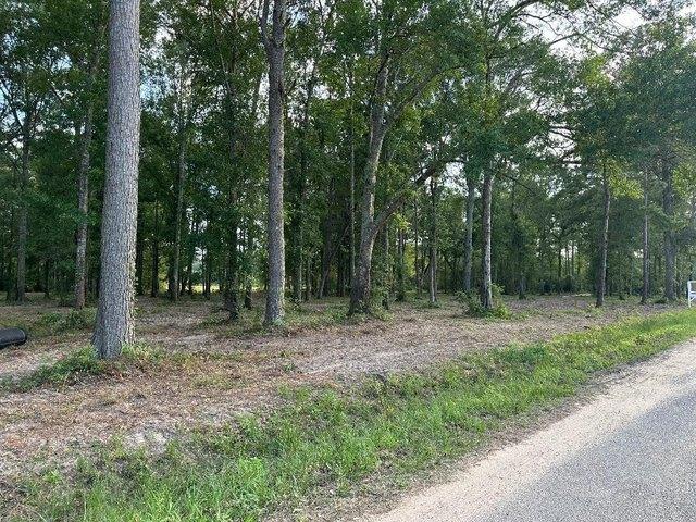 Tract 1 000 Tbd Blackburn Dr, Splendora, TX 77372
