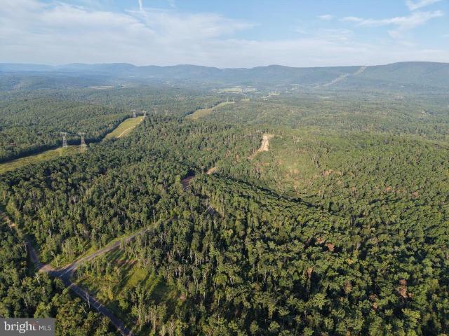 Tract 1: 152.44+/ ACRES Off Of Laurel Grove Road