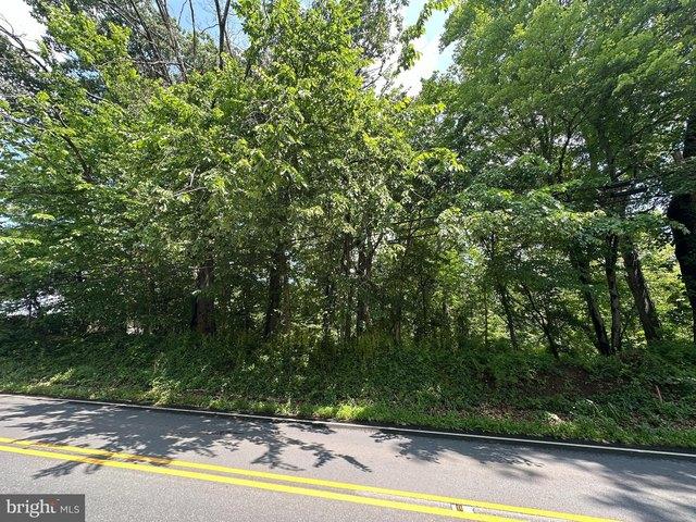 Tract 1 15 / Acres W Potomac St Lot 107, Brunswick, MD 21716