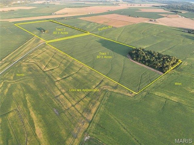 Tract 1 2806 Steffen Rd, Fults, IL 62244
