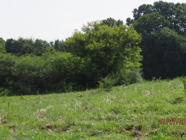 Tract 1 & 2 Brown Road