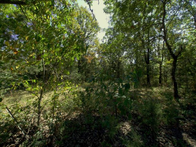 Tract 1&2 Simpson Rd