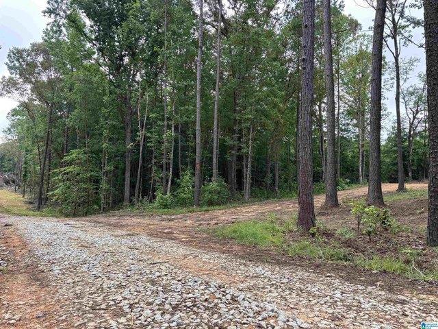 Tract 1 343 County Road 892 Lot TRACT1, Wedowee, AL 36278