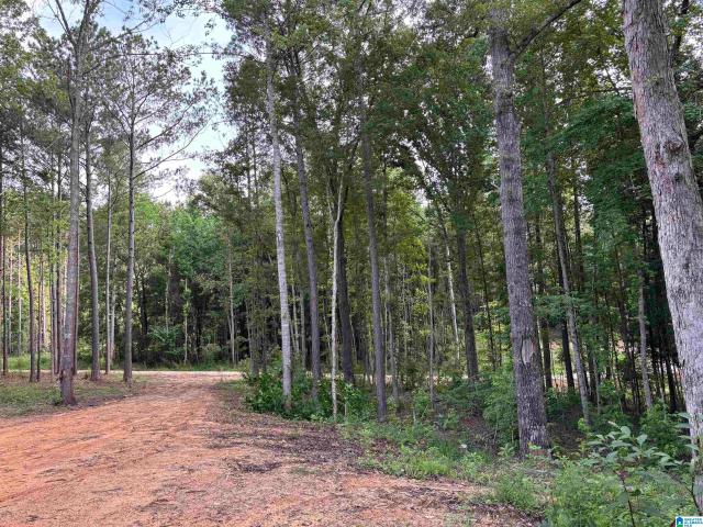 Tract 1 343 COUNTY ROAD 892 # Tract 1