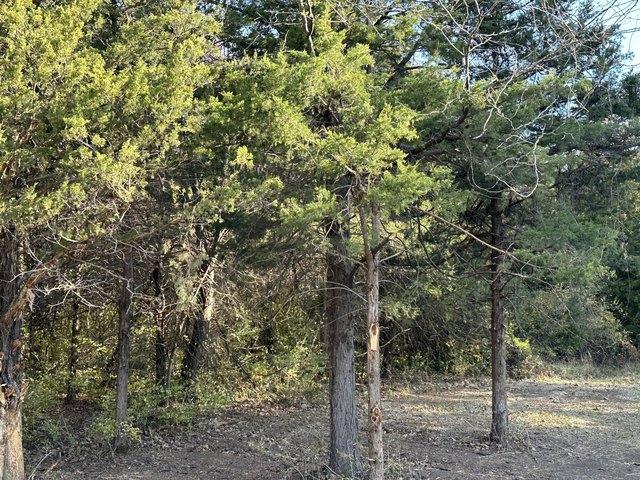 Tract 1A Audrain Rd # 935, Mexico, MO 65265