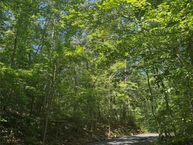 Tract 1J The Bear Boulevard