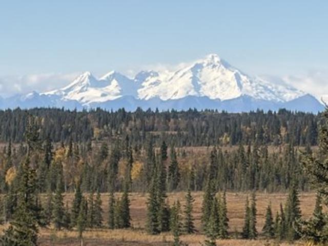 Tract 20 Zeke St, Ninilchik, AK 99639