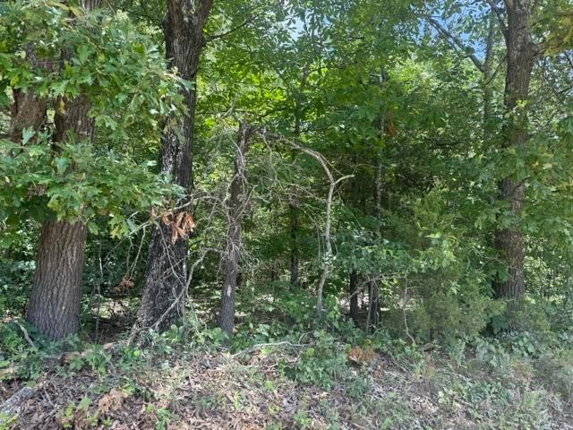 Tract 20 Deer Chase Rd