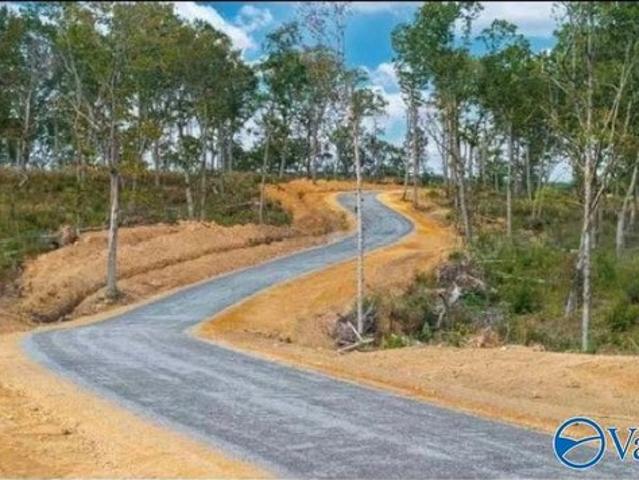 Tract 22 2 County Road 9114, Mentone, AL 35984
