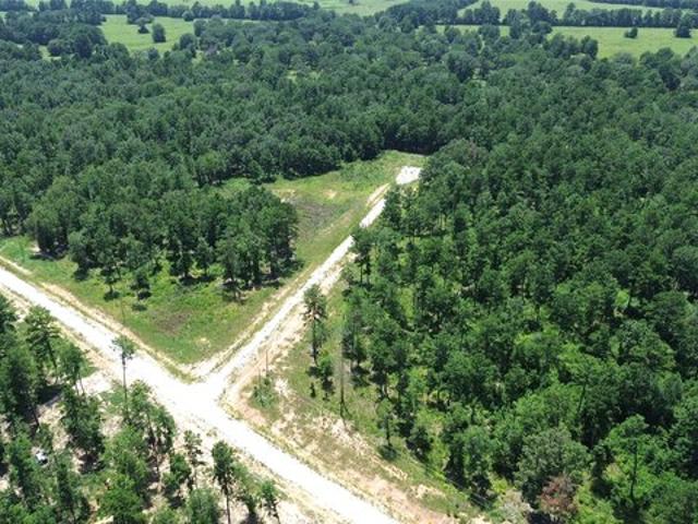 Tract 27 County Road 1105, Kennard, TX 75847
