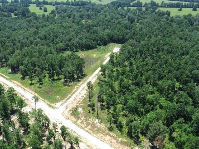 Tract 27 Fox Hollow Ct, Kennard, TX 75847