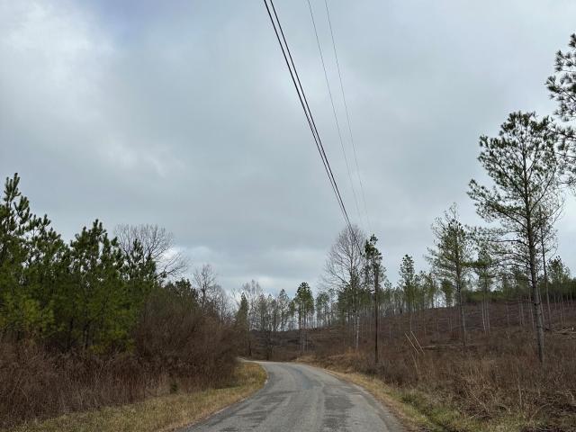 Tract 24 Thomas Springs Road