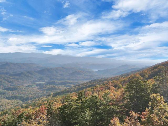 Tract 29 r3 Chilhowee Mountain Trail, Maryville, TN 37803 | MLS #1283