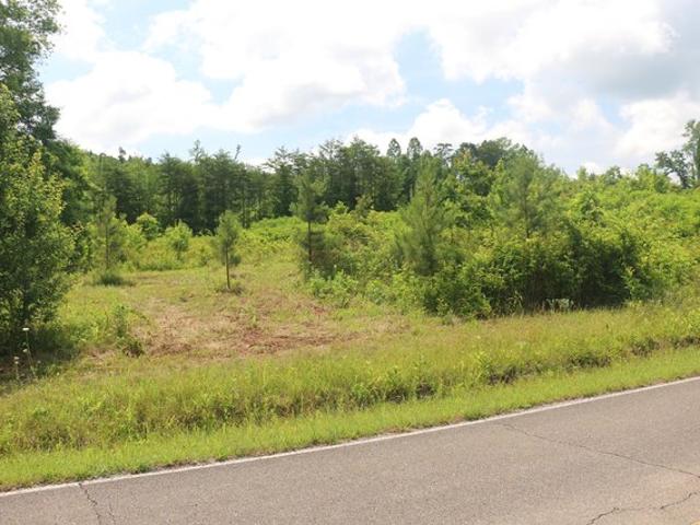 Tract 2 N Nopone Valley Rd, Decatur, TN 37322
