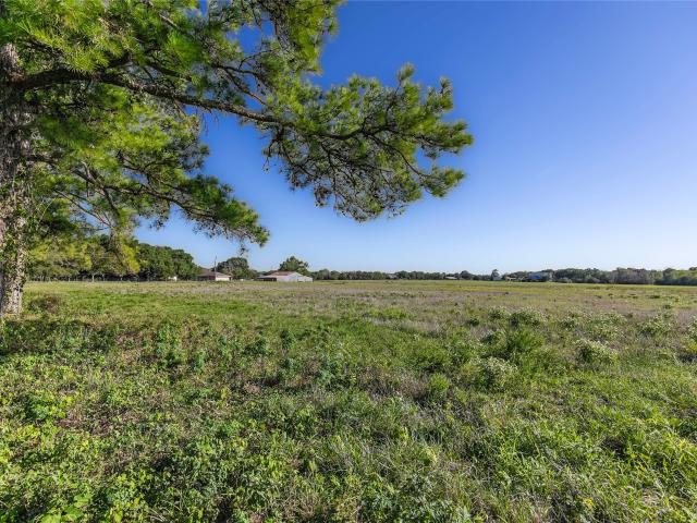 Tract 2 Nelius Road