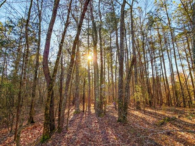 Tract 2 New Harmony Dr, Lineville, AL 36266