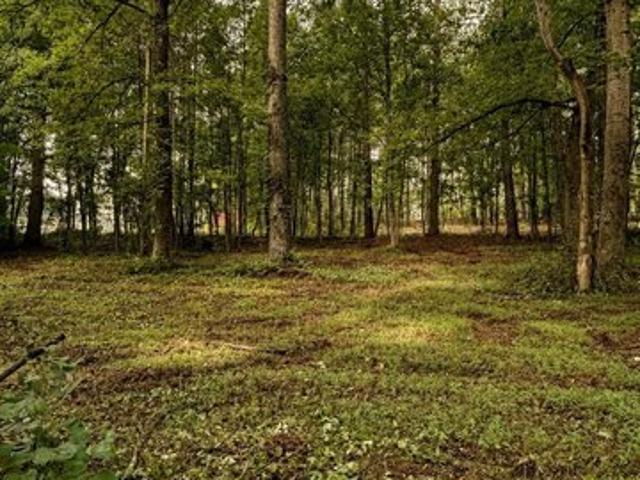 Tract 2 Old Mill Rd, Easley, SC 29642